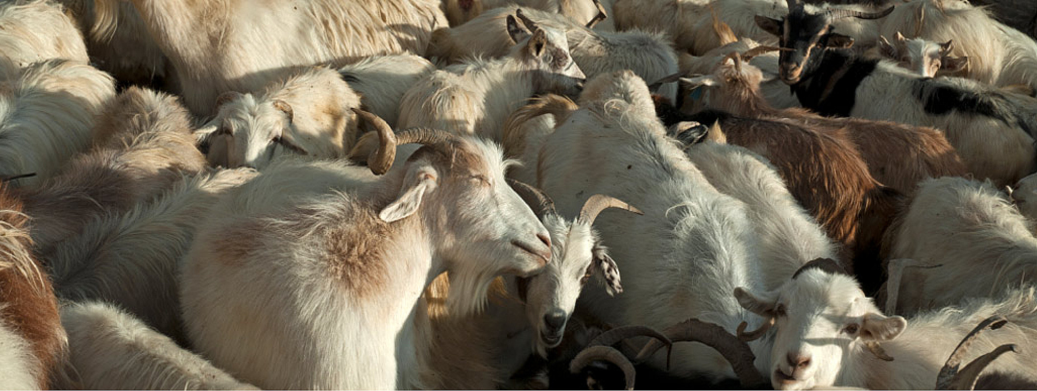 10 famous crafts of ladakh| Indian craft store