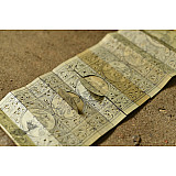 online Tala Pattachitra -| Indian craft store